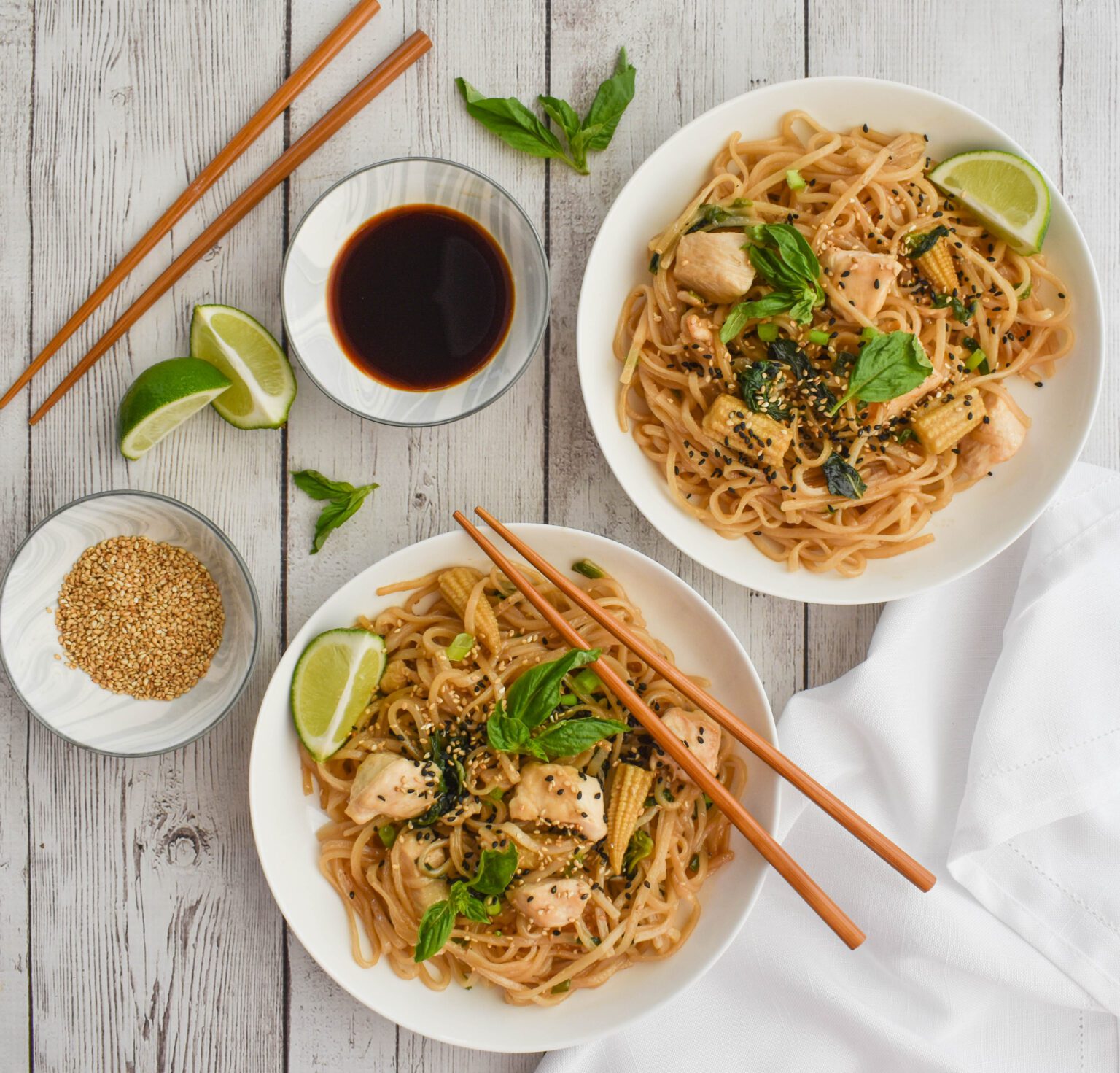 Low-FODMAP & Gluten-free 30-Minute 'Drunken' Noodles with Chicken | Dr ...
