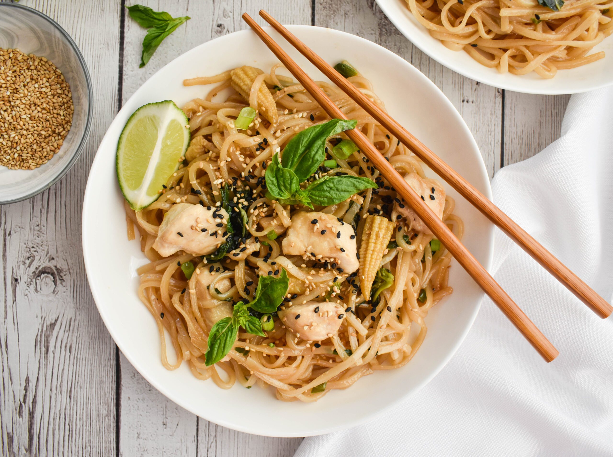 Low-FODMAP & Gluten-free 30-Minute 'Drunken' Noodles with Chicken | Dr ...