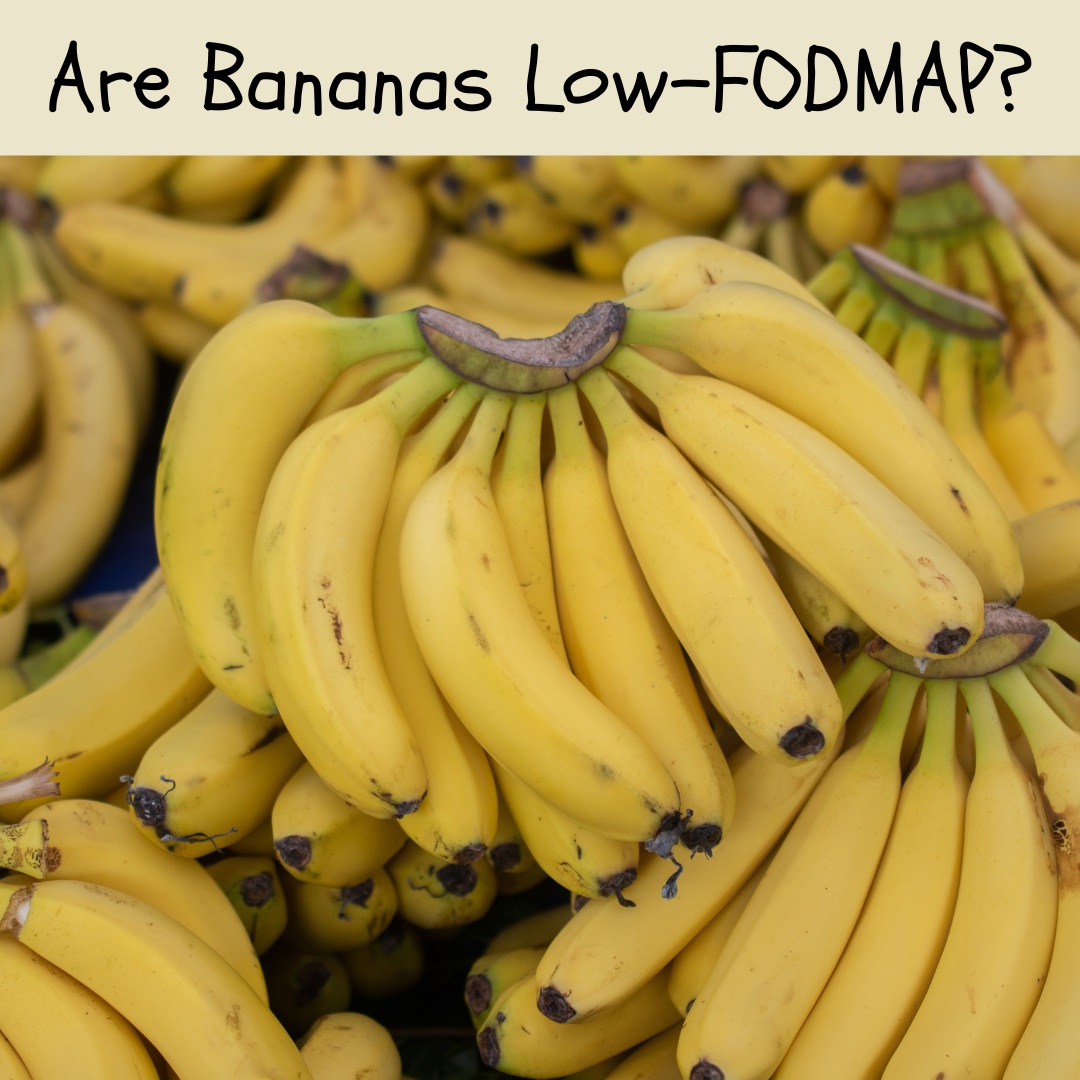 Dr. Rachel's FODMAP Facts: Are Bananas Low-FODMAP? | Dr. Rachel Pauls