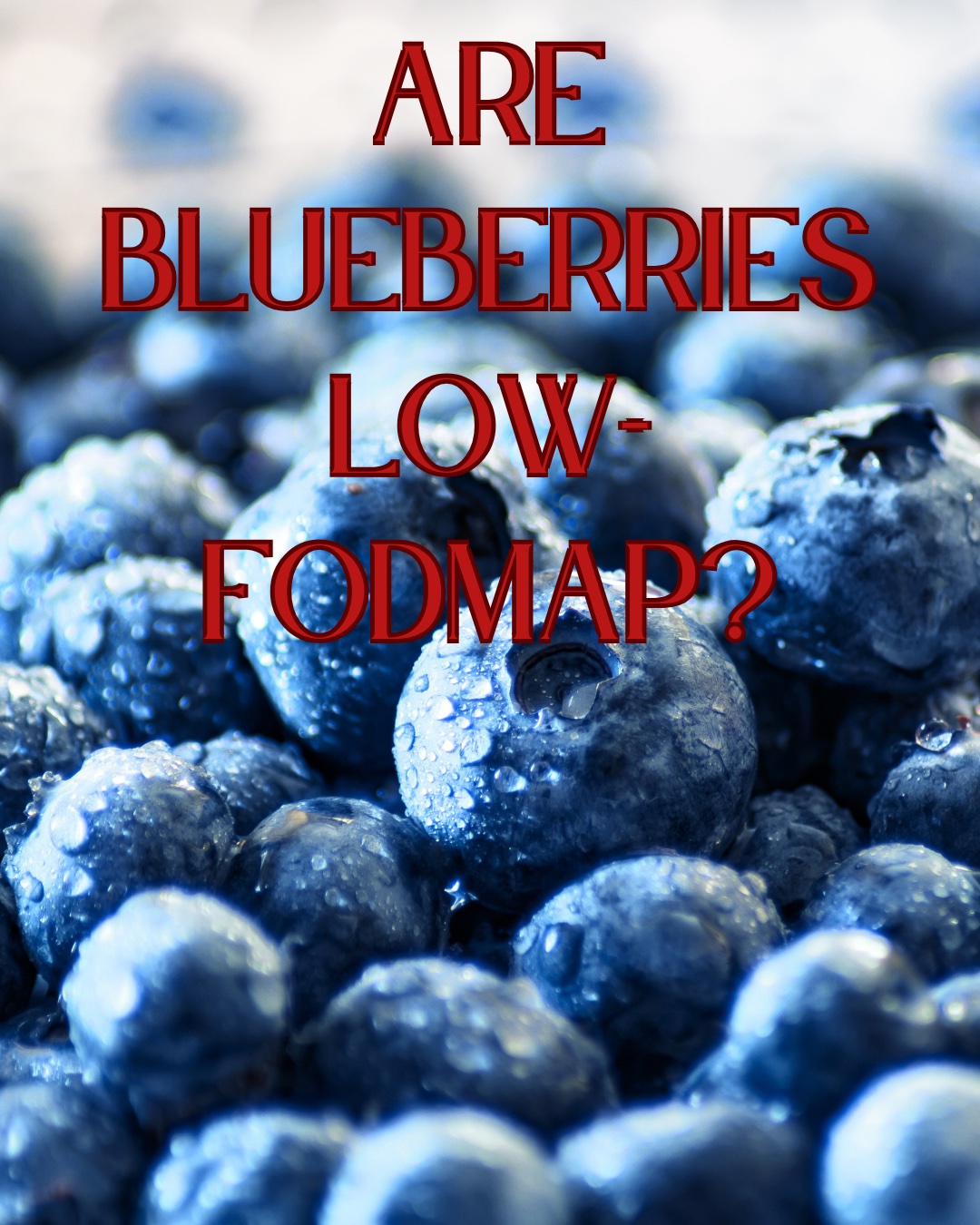 Dr. Rachel's FODMAP Facts: Are Blueberries Low-FODMAP? | Dr. Rachel Pauls