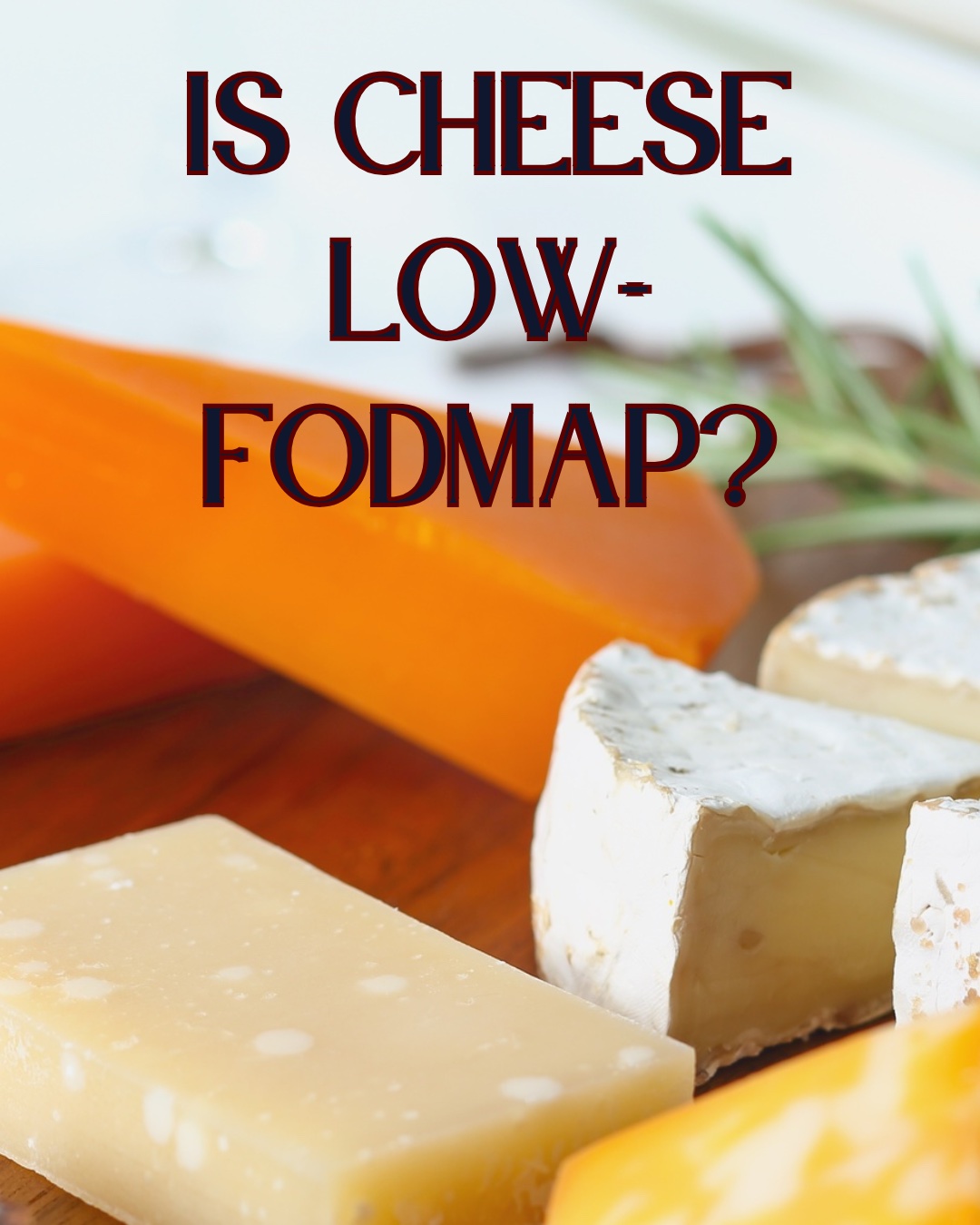 Dr. Rachel's FODMAP Facts: Is Cheese Low-FODMAP? | Dr. Rachel Pauls