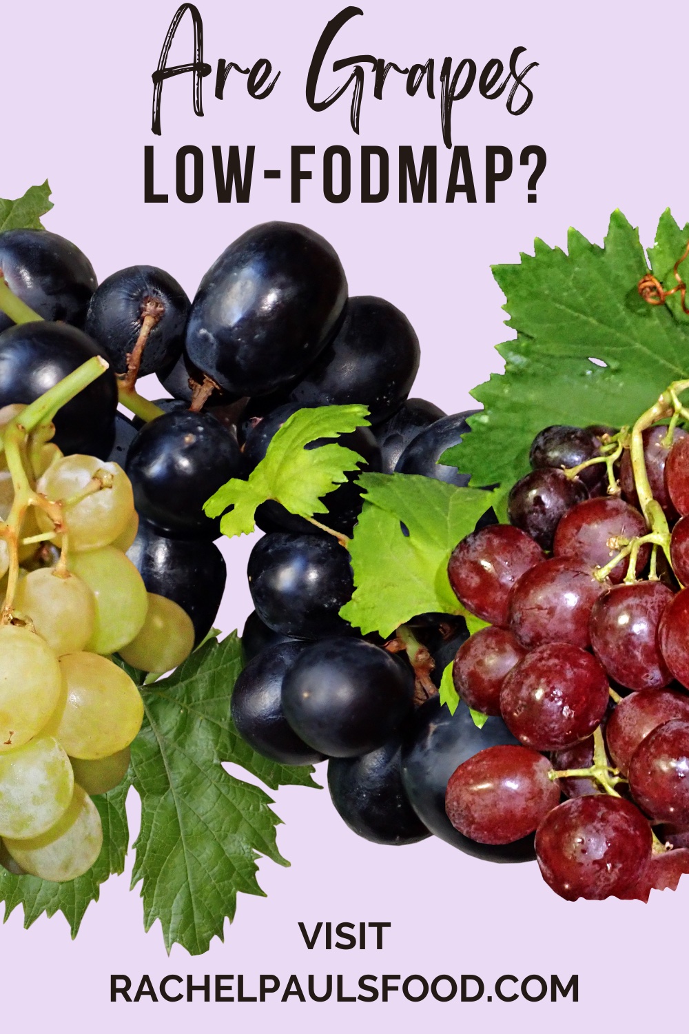 Dr. Rachel's FODMAP Facts: Are Grapes Low-FODMAP? | Dr. Rachel Pauls