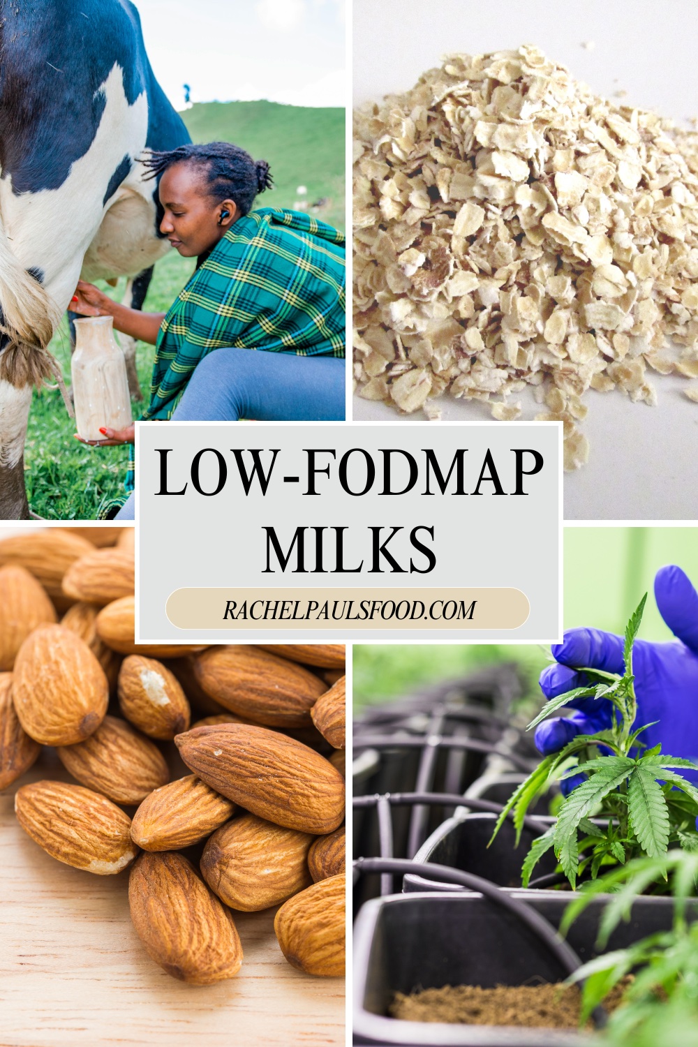 Dr. Rachel's FODMAP Facts: What are LOW-FODMAP MILK OPTIONS? | Dr ...