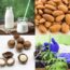 Dr. Rachel's FODMAP Facts: What are LOW-FODMAP MILK OPTIONS? | Dr ...