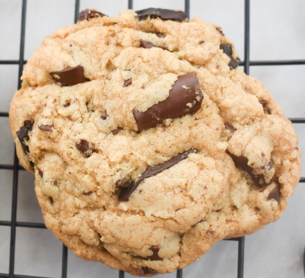 Dr. Rachel's Favorite Low-FODMAP Chocolate Chip Cookies recipe; Gluten ...